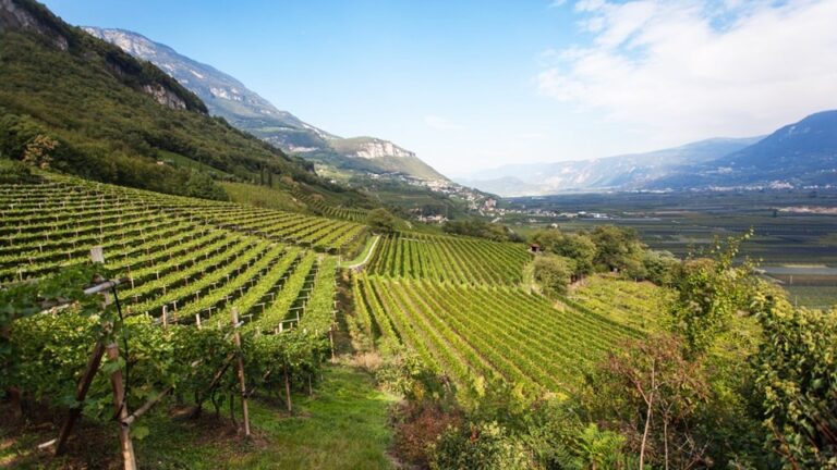 Paolo Dragani, l'altoatesino d'Abruzzo