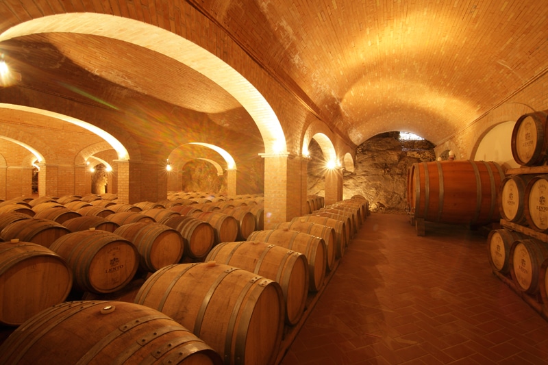 Cantine Lento, alla scoperta del Magliocco