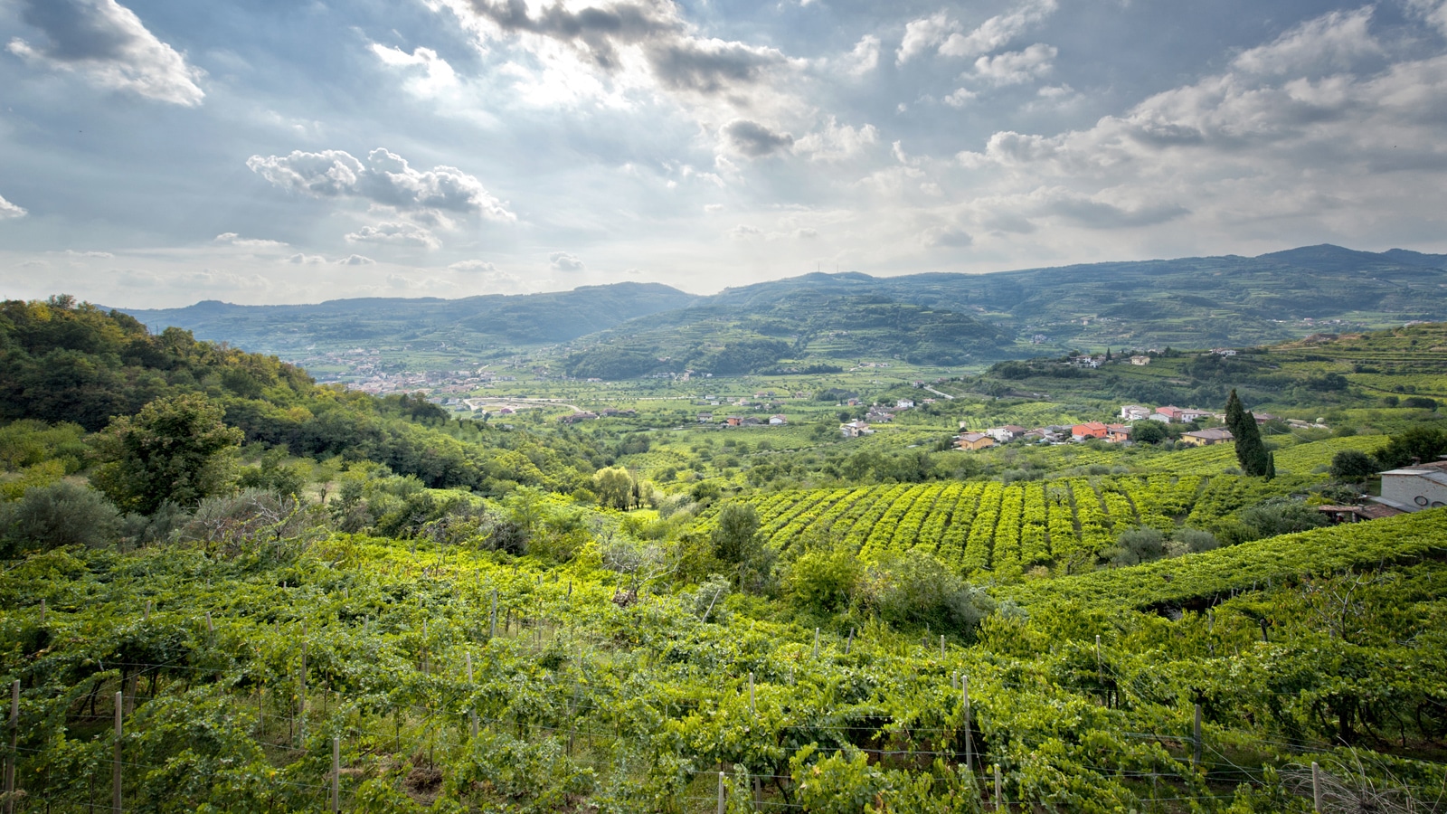 Lessini Durello, una piacevole sorpresa nel calice